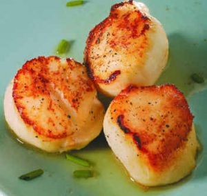 What do scallops taste like? - Pan Seared Scallops